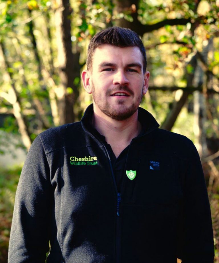 Bringing Back The Beavers! - Sacred Groves