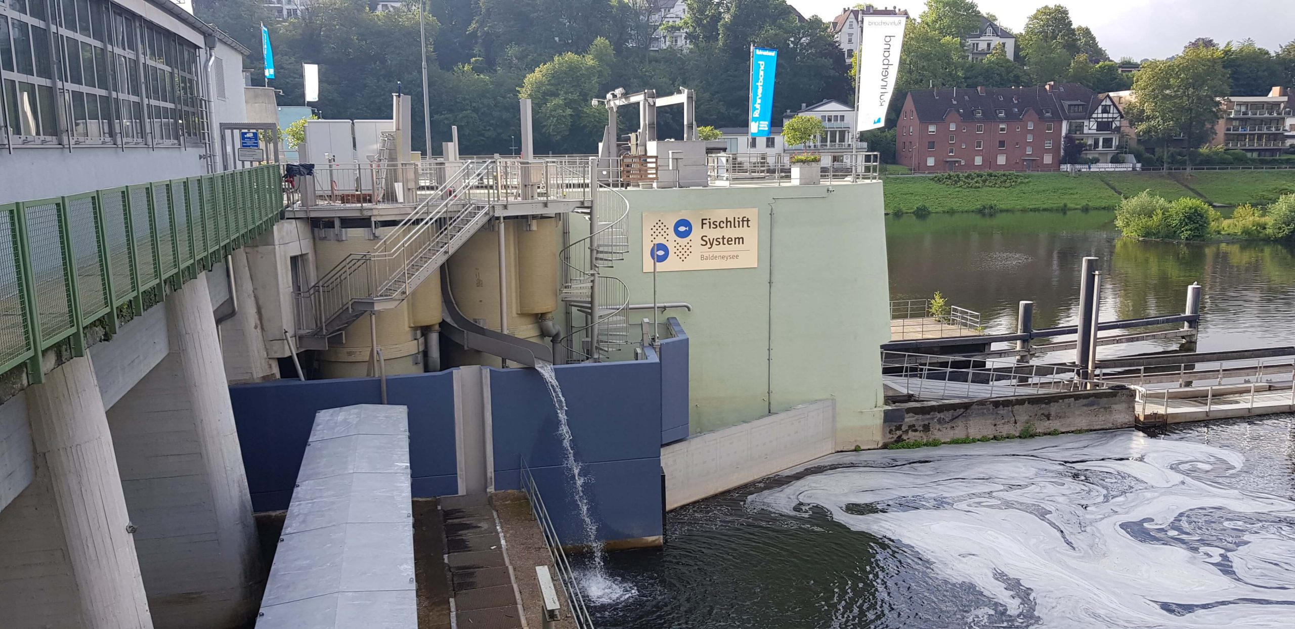 Giving Fish A Helping Hand On Germany’s Aquatic Superhighway - Sacred ...