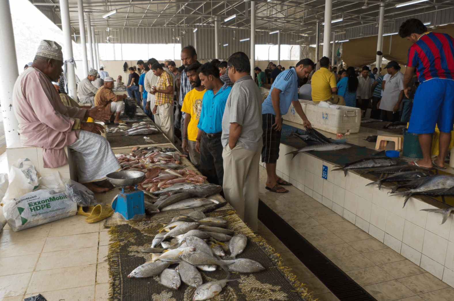 Aquaculture Of Shrimp In The Sultanate Of Oman - Sacred Groves