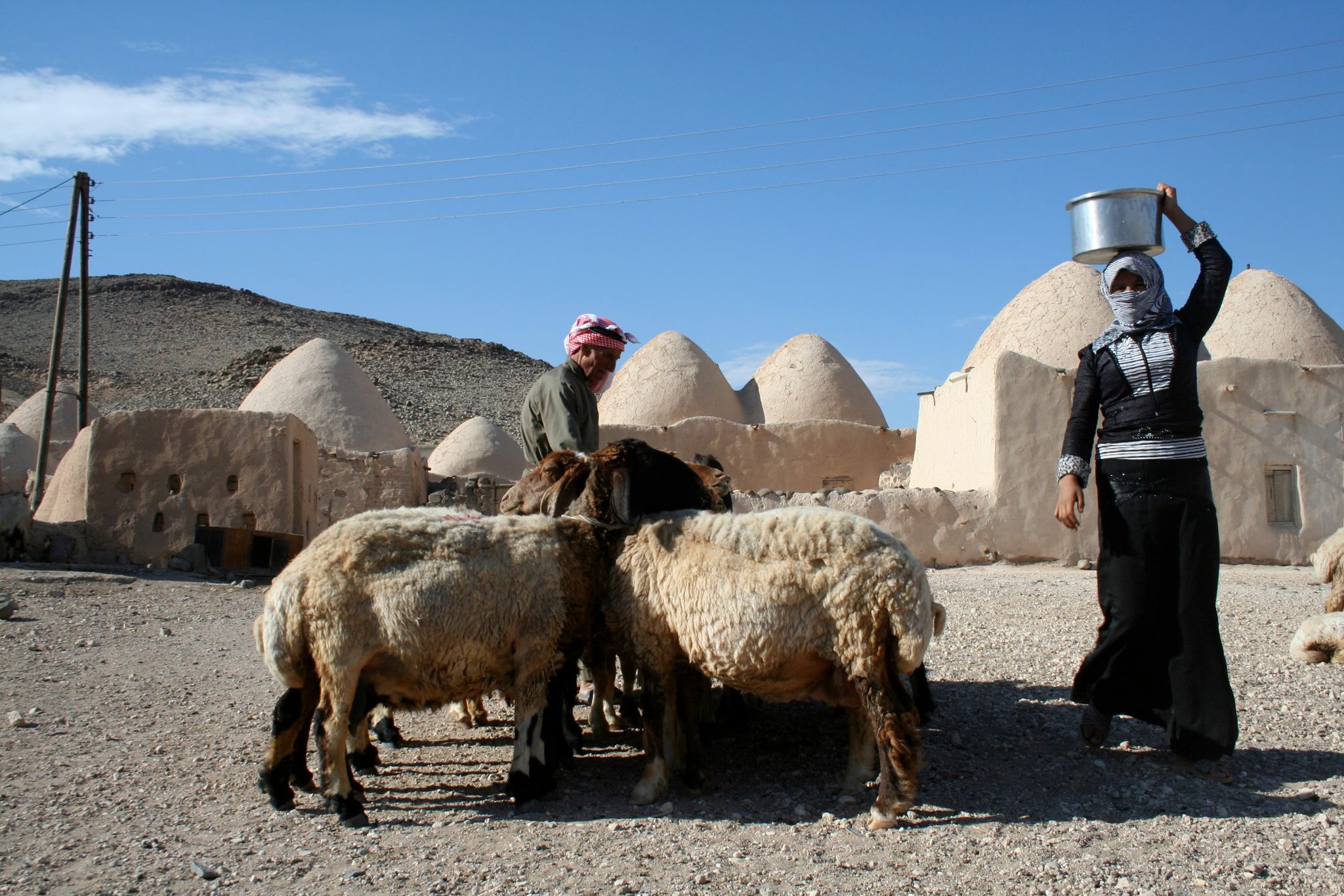 Can Ancient Byzantines Solve Modern Middle Eastern Drought? - Sacred Groves